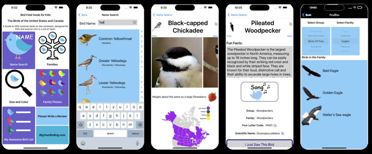 Bird Field Guide for Kids - Big Year Birding
