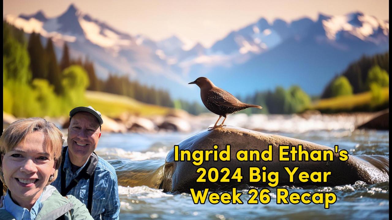 Ethan and Ingrid's 2024 Big Year (Week 26) - Big Year Birding