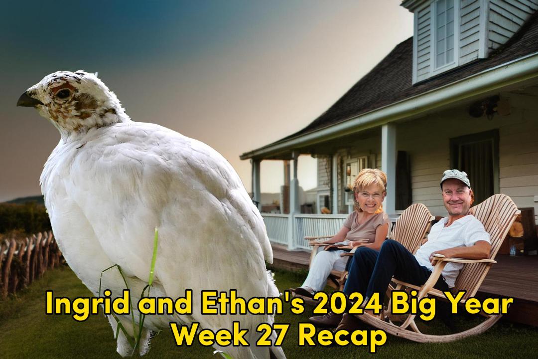 Ethan and Ingrid's 2024 Big Year (Week 27) - Big Year Birding